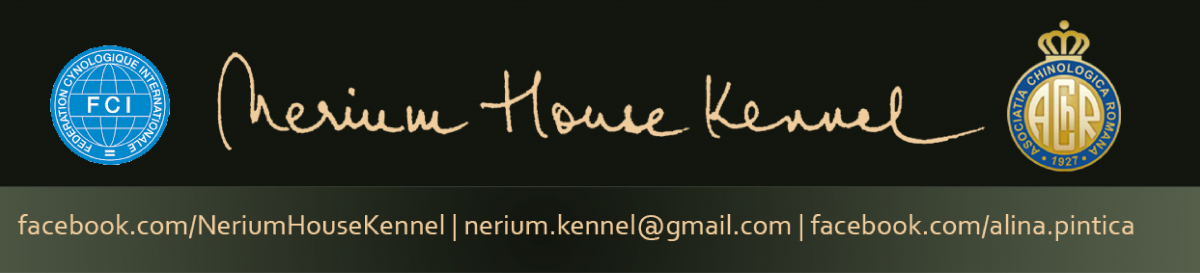 Home - - Breeder of Magyar Vizsla and Deutsch Kurzhaar - Canisa de ...